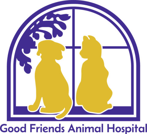 Best Veterinary Hospital In Urbana, IL | Good Friends Animal